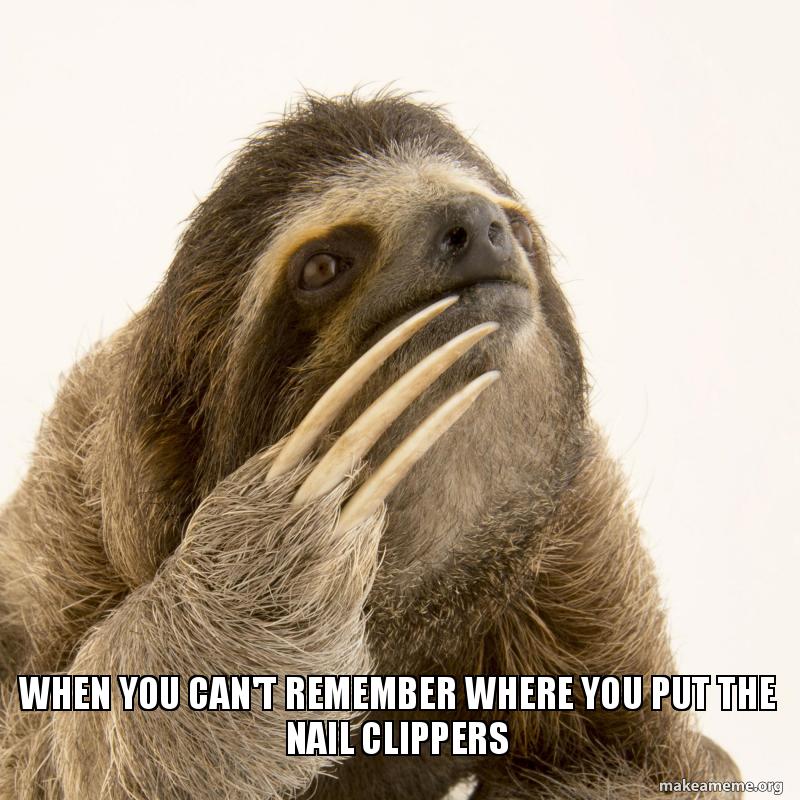 WHEN YOU CAN'T REMEMBER WHERE YOU PUT THE NAIL CLIPPERS Meme Generator