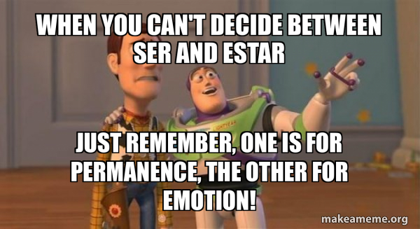 When you can't decide between ser and estar Just remember, one is for ...