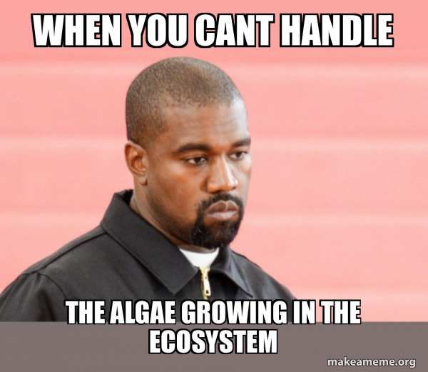 when you cant handle the algae growing in the ecosystem - Kanye West ...