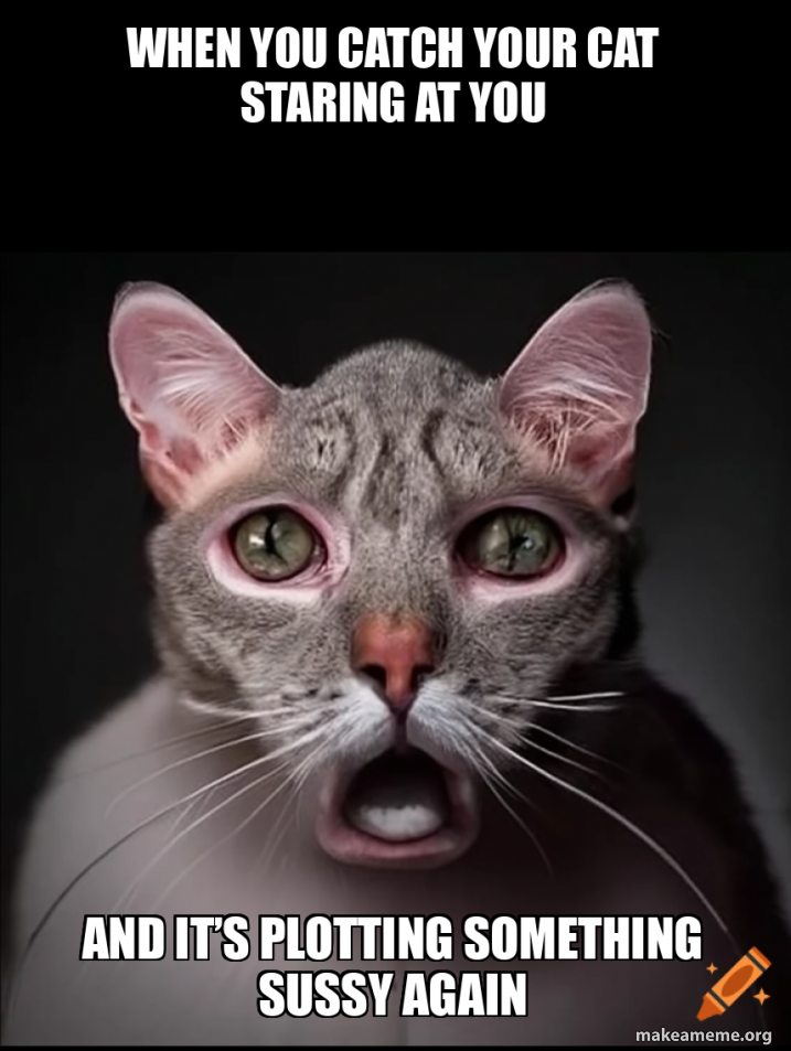 When you catch your cat staring at you And it’s plotting something ...