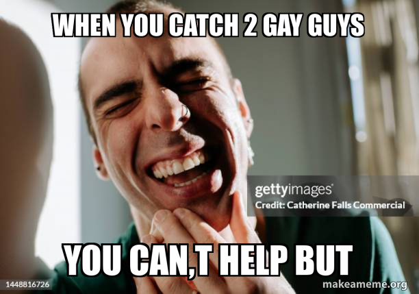 when you catch 2 gay guys you can,t help but Meme Generator