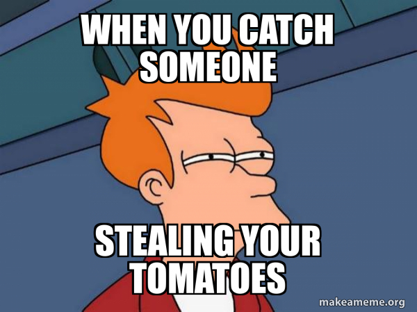 When you catch someone stealing your tomatoes - Futurama Fry Meme Generator