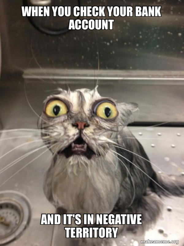 When you check your bank account and it's in negative territory - Cat ...