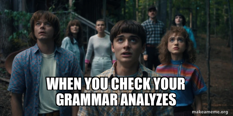 WHEN YOU CHECK YOUR GRAMMAR ANALYZES Meme Generator