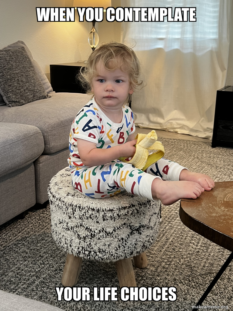 When you contemplate Your life choices Meme Generator