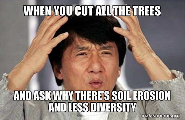 When you cut all the trees and ask why there's soil erosion and less ...