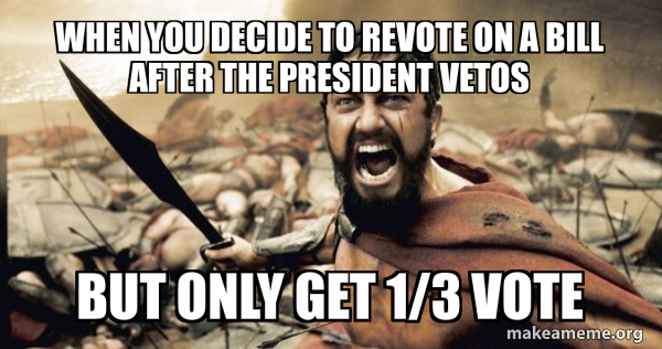 when you decide to revote on a bill after the president vetos but only ...