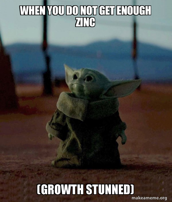 When you do not get enough Zinc (Growth stunned) - Baby Yoda Meme Generator