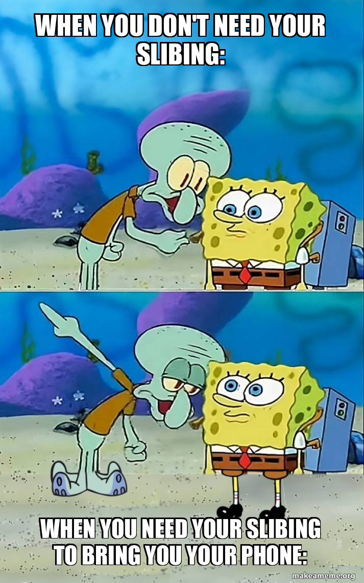 When you don't need your slibing: When you need your slibing to bring ...