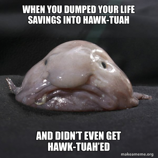 When you dumped your life savings into hawk-tuah And didn’t even get ...