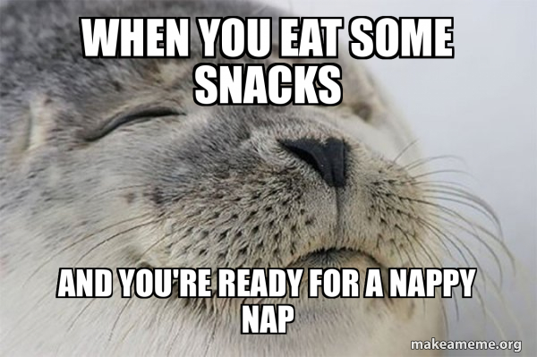 When you eat some snacks And you're ready for a nappy nap - Satisfied ...