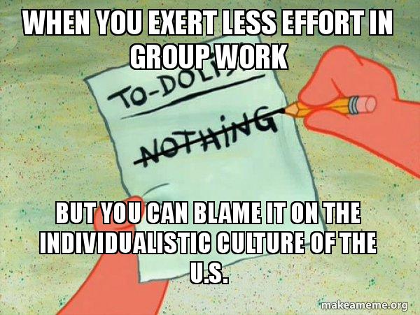 When you exert less effort in group work but you can blame it on the ...