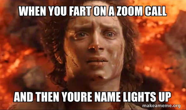 when you fart on a zoom call and then youre name lights up - Frodo it's ...