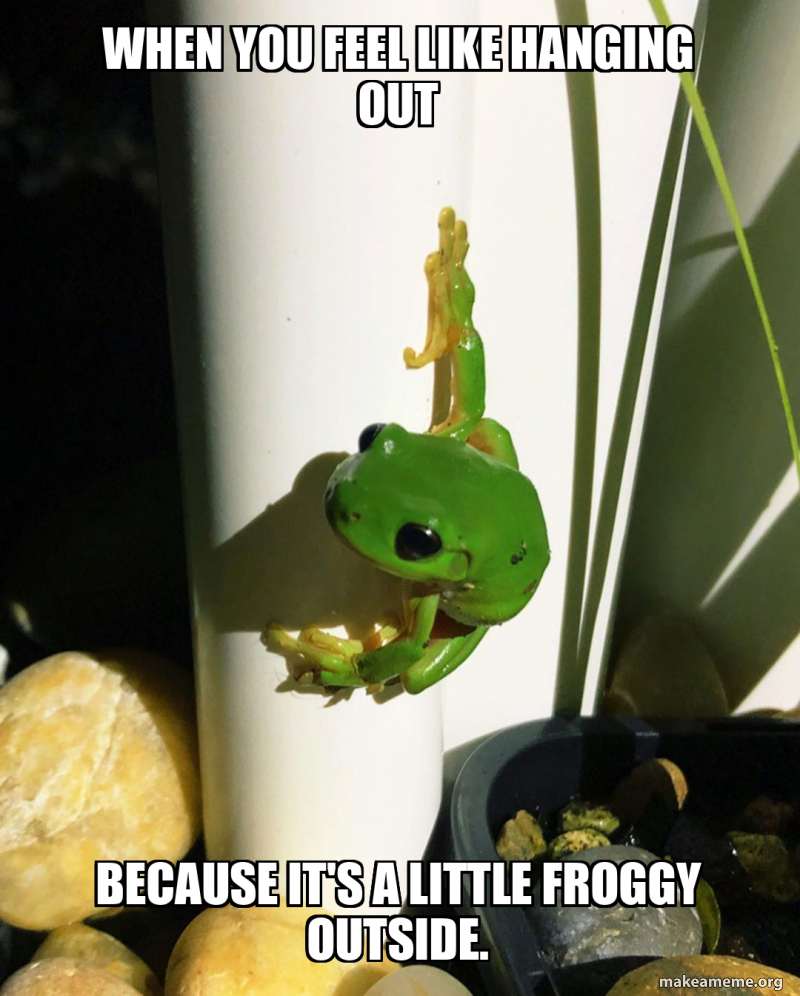when you feel like hanging out because it's a little froggy outside ...