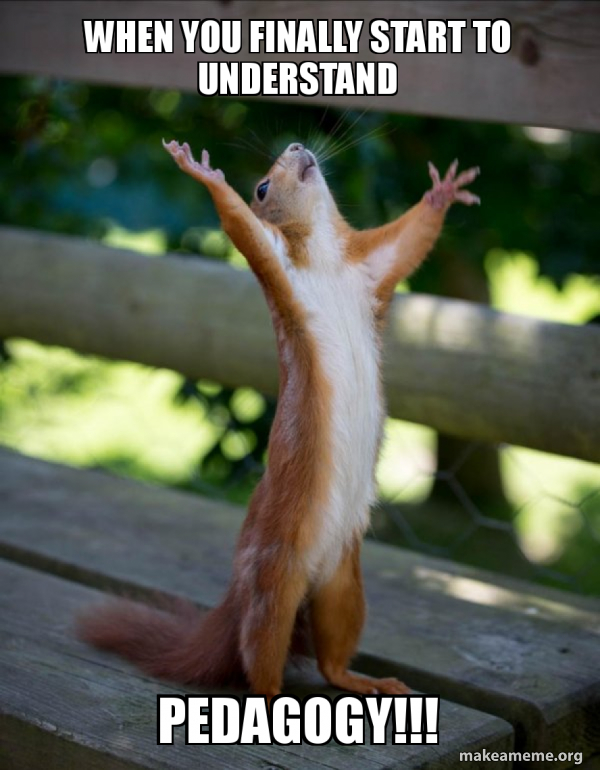 When you finally start to understand PEDAGOGY!!! - Happy Squirrel Meme ...