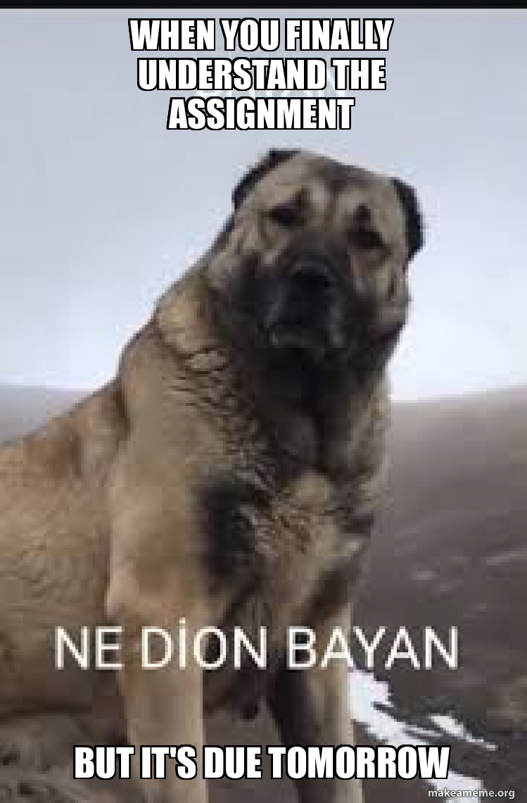 When you finally understand the assignment But it's due tomorrow - A ...