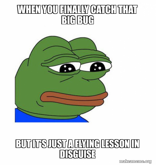 When you finally catch that big bug But it's just a flying lesson in ...
