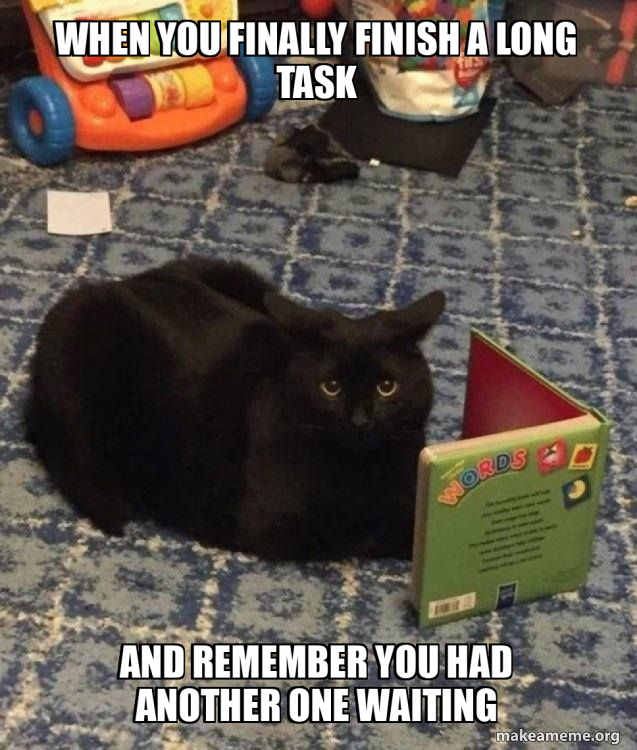 When you finally finish a long task And remember you had another one ...