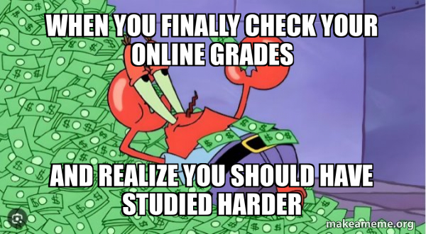 When you finally check your online grades And realize you should have ...