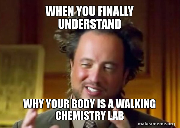 When you finally understand why your body is a walking chemistry lab ...
