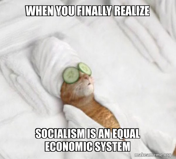 When you finally realize Socialism is an equal economic system ...