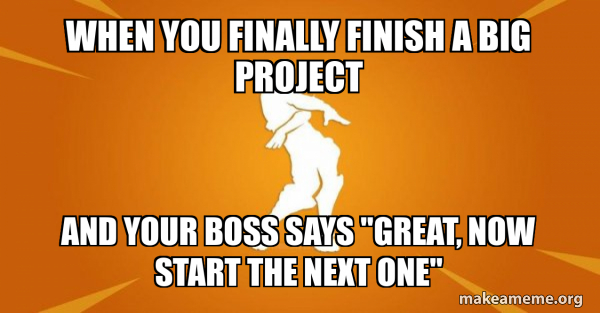 When you finally finish a big project And your boss says "Great, now ...