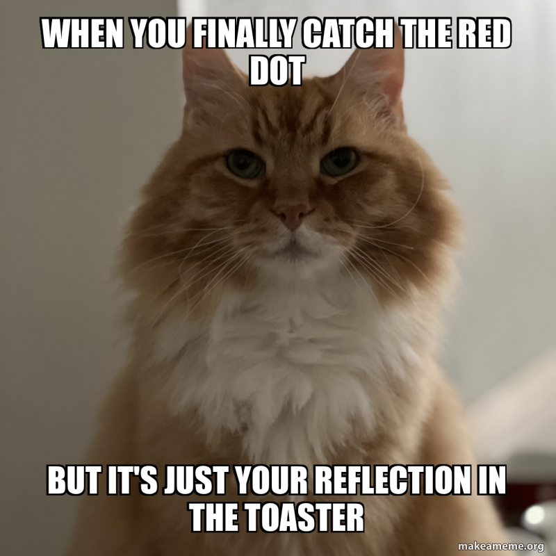 When you finally catch the red dot But it's just your reflection in the ...