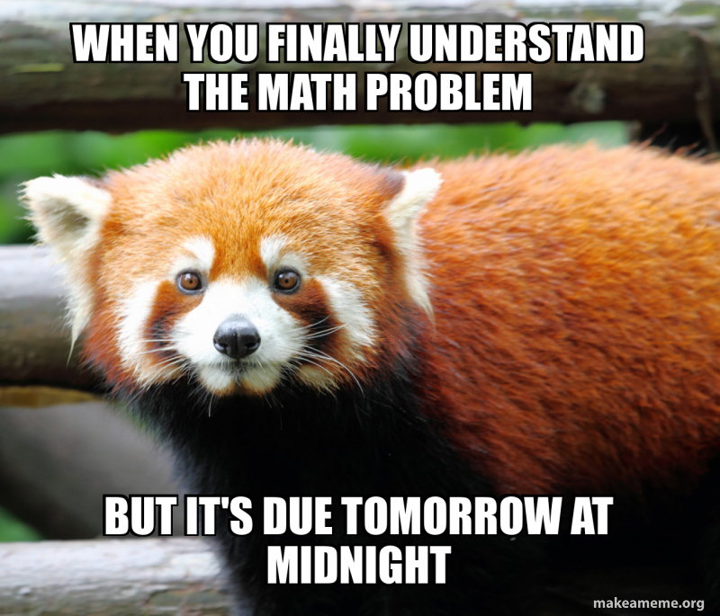 When you finally understand the math problem But it's due tomorrow at ...