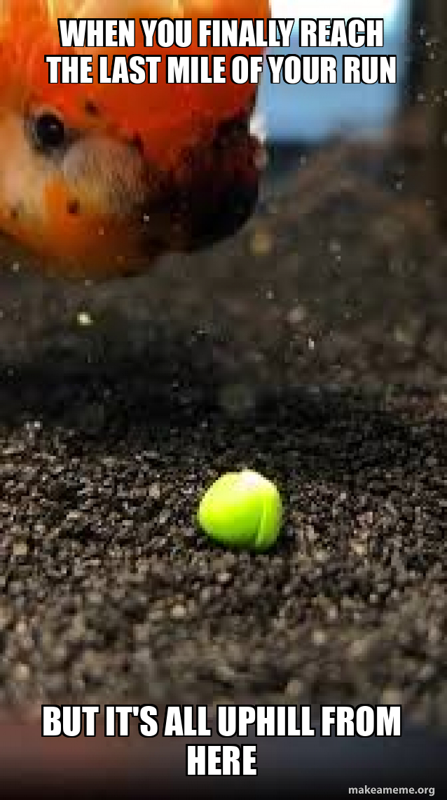 When you finally reach the last mile of your run But it's all uphill ...