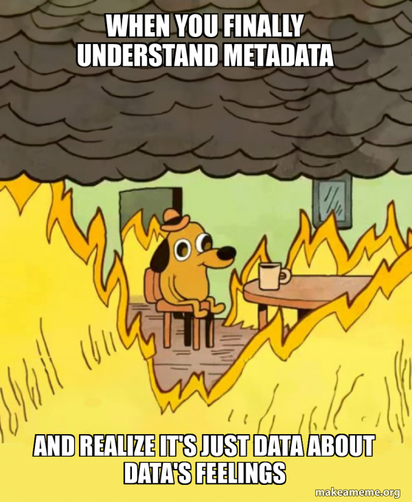 When you finally understand metadata And realize it's just data about ...