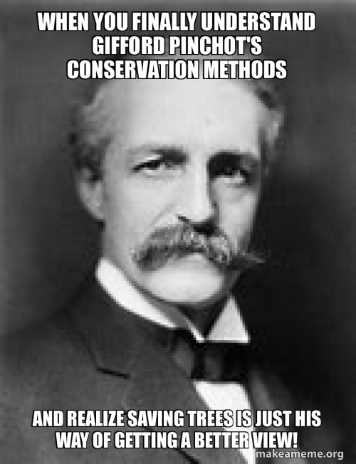 When you finally understand Gifford Pinchot's conservation methods And ...