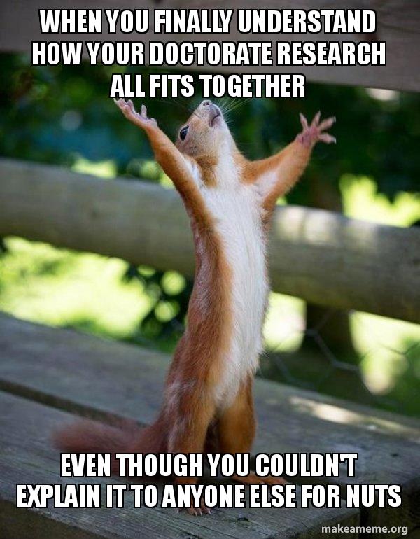 When you finally understand how your doctorate research all fits ...