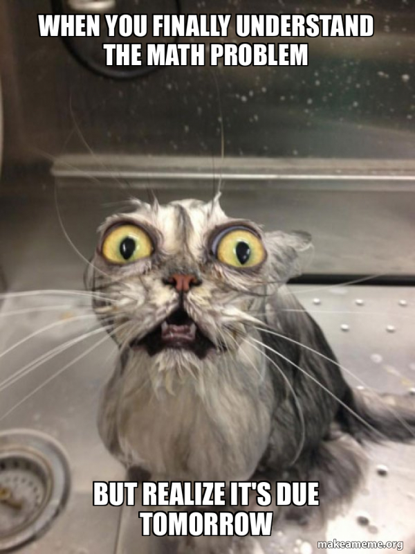 When you finally understand the math problem But realize it's due ...