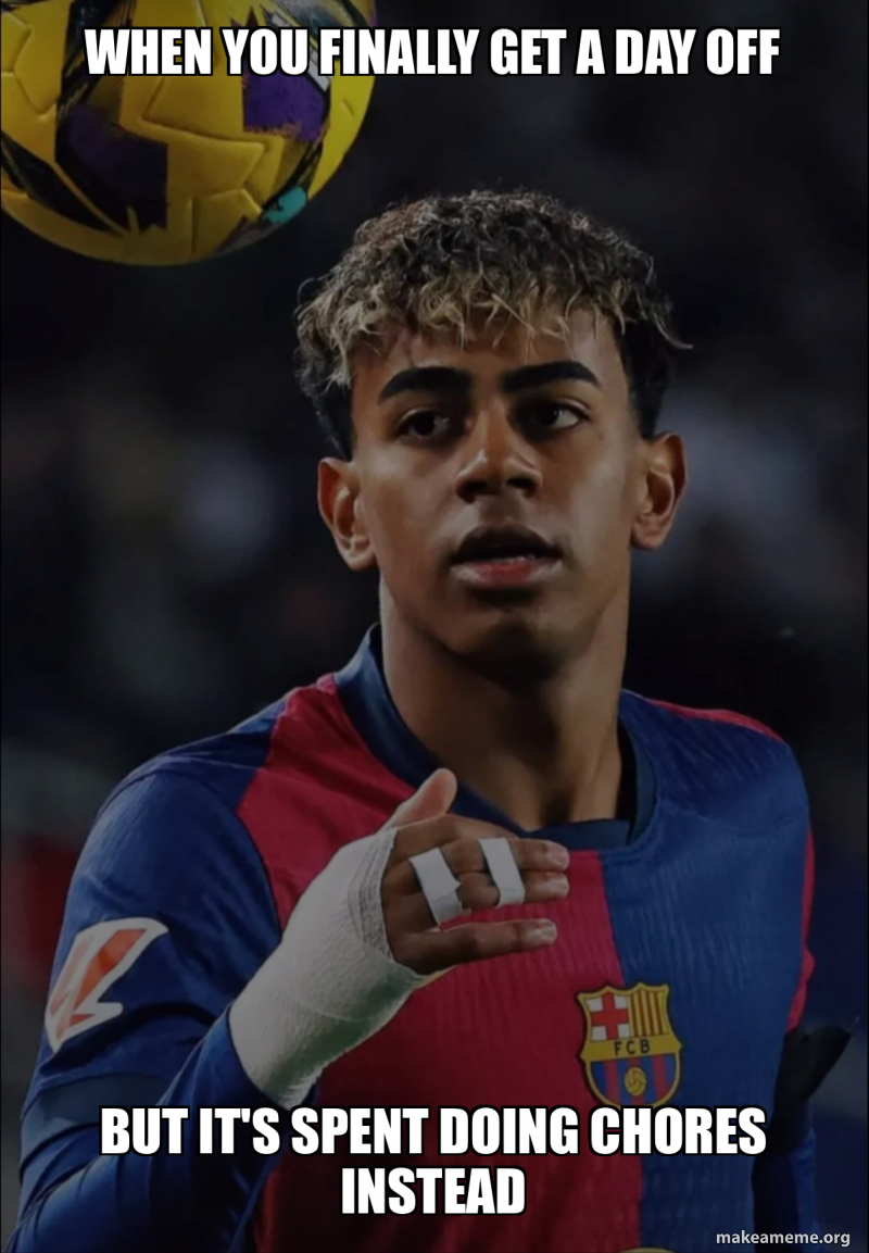 When you finally get a day off But it's spent doing chores instead Meme ...