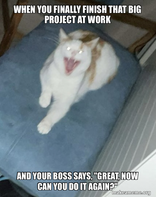 When you finally finish that big project at work And your boss says ...