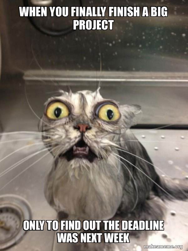 When you finally finish a big project Only to find out the deadline was ...