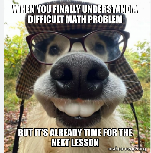 When you finally understand a difficult math problem But it's already ...