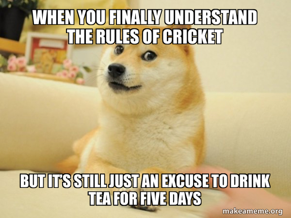 When you finally understand the rules of cricket But it’s still just an ...