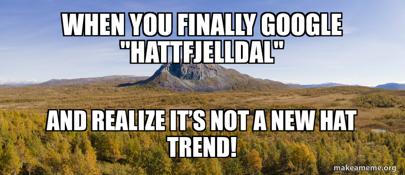 When you finally Google "hattfjelldal" and realize it’s not a new hat ...