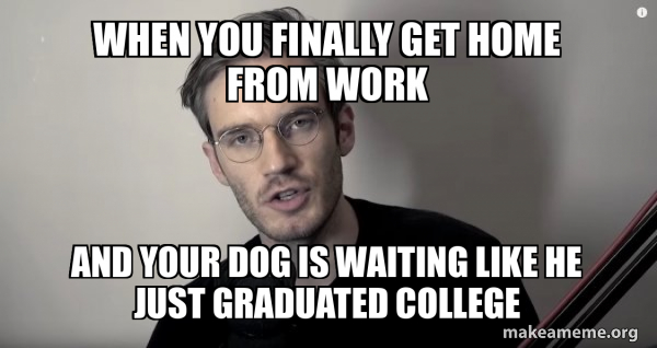 When you finally get home from work And your dog is waiting like he ...