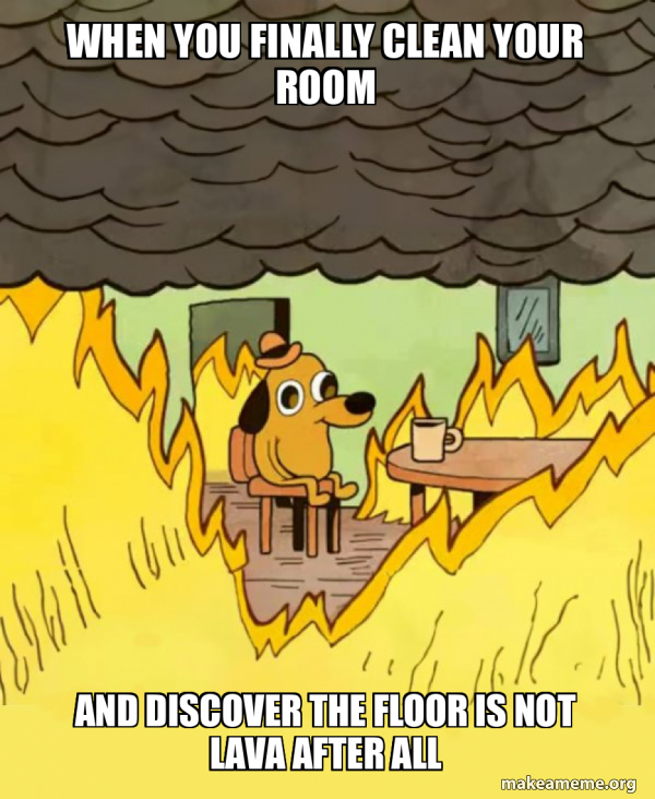 When you finally clean your room And discover the floor is not lava ...