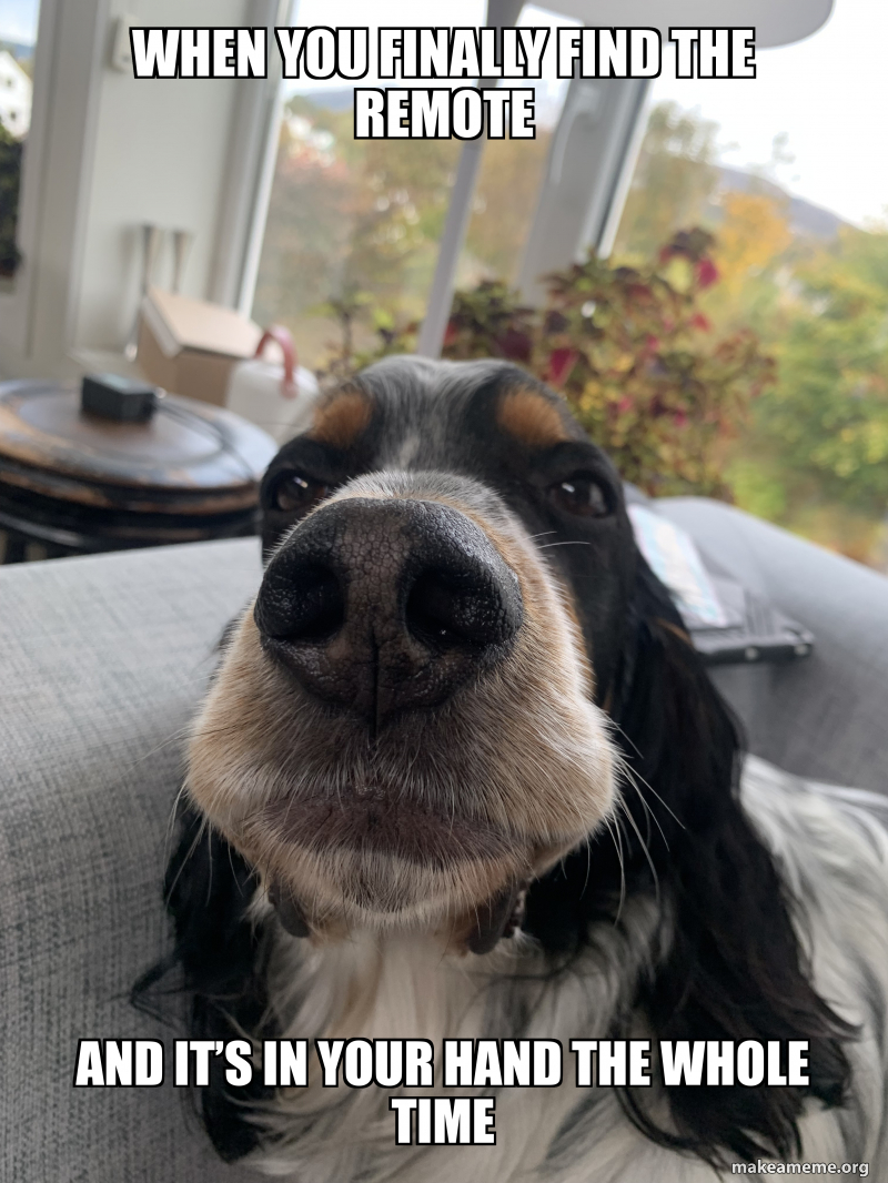 When you finally find the remote And it’s in your hand the whole time ...
