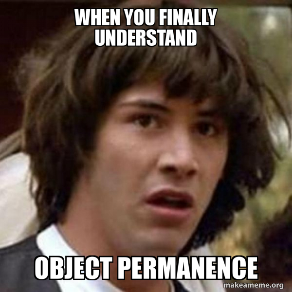 when you finally understand object permanence - Conspiracy Keanu Meme ...