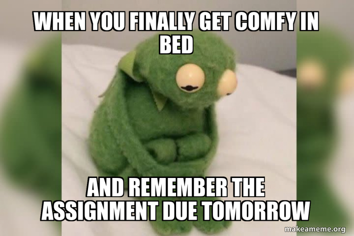 When you finally get comfy in bed And remember the assignment due ...