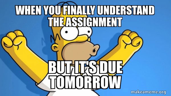 When you finally understand the assignment But it's due tomorrow ...