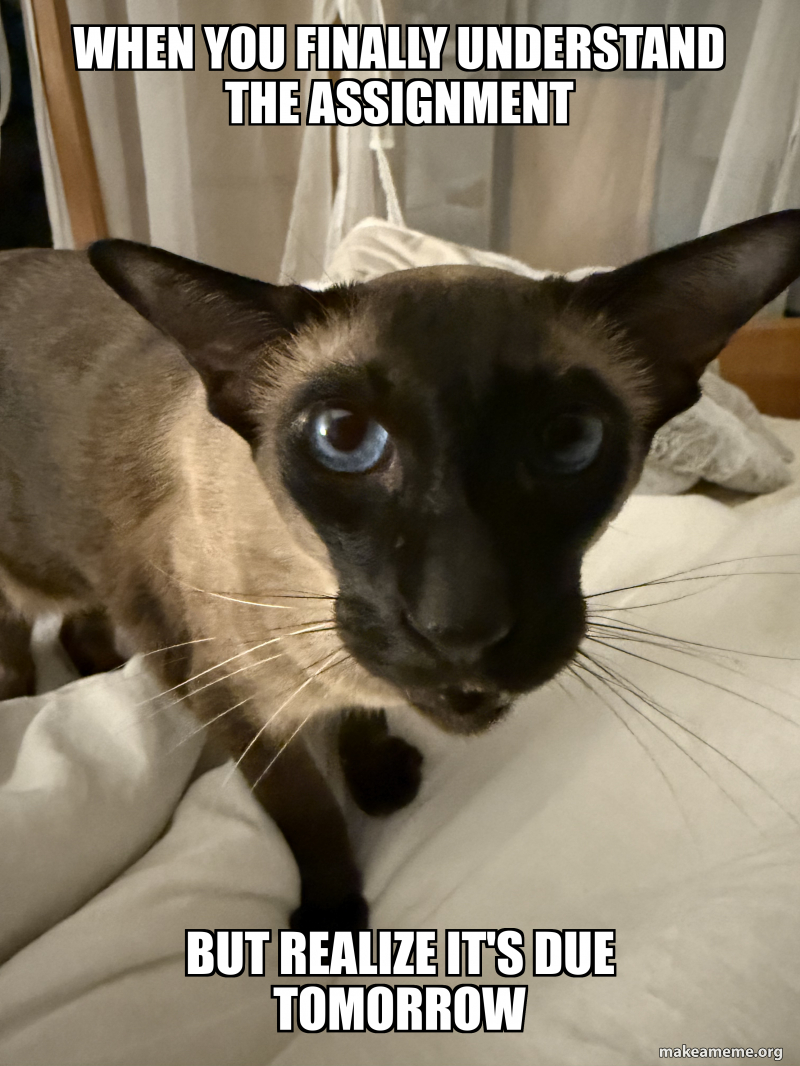 When you finally understand the assignment But realize it's due ...