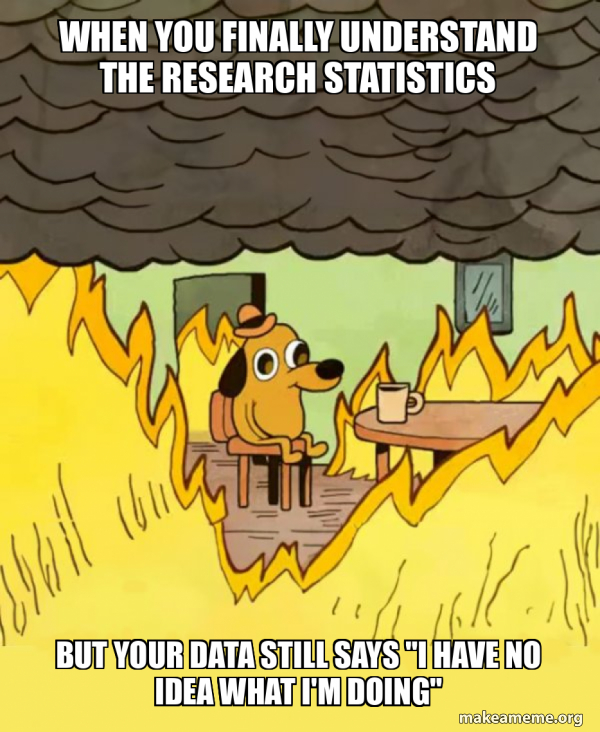 When you finally understand the research statistics But your data still ...