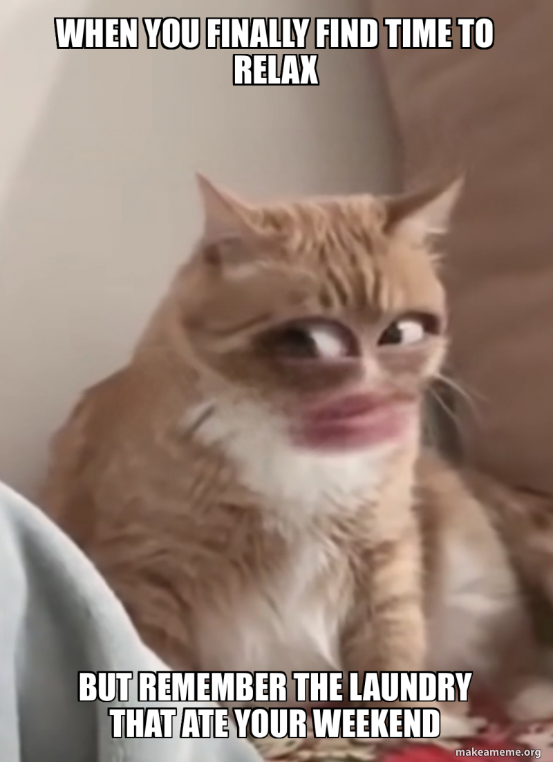 When you finally find time to relax But remember the laundry that ate ...