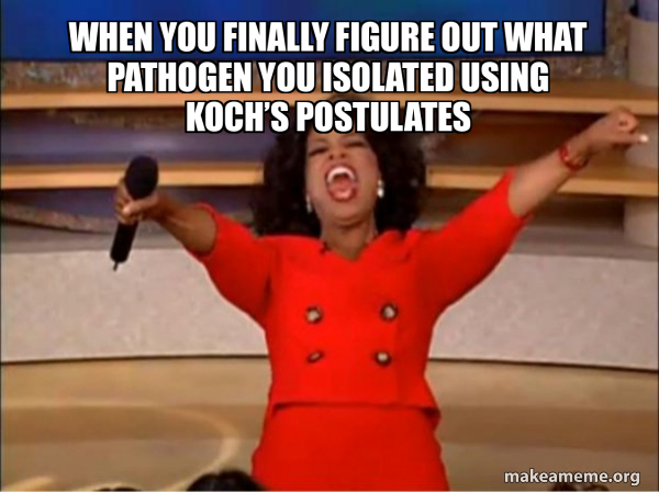 When you finally figure out what pathogen you isolated using Koch’s ...