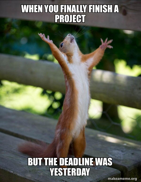 When you finally finish a project But the deadline was yesterday ...